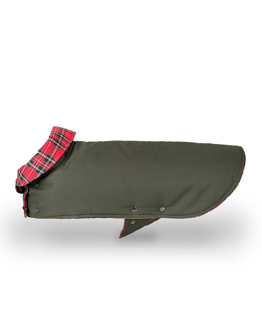ᐅ Abrigo GREEN & TREMP | Abrigos para perro | Brott Barcelona